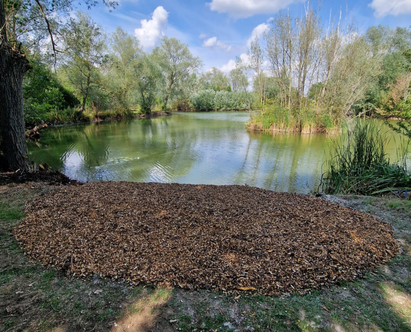 ASH GROUND LAKE – Fennes Fishing
